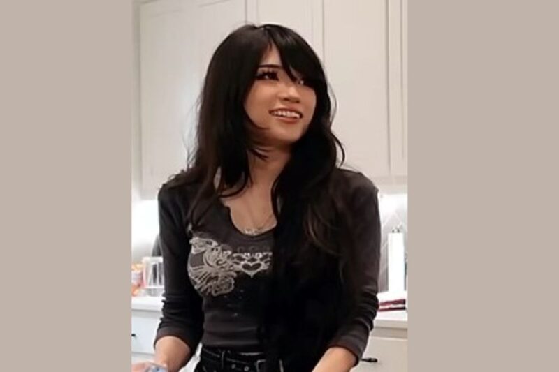 Emiru Handbra: The Accidental Meme That Went Viral | Lab on Web